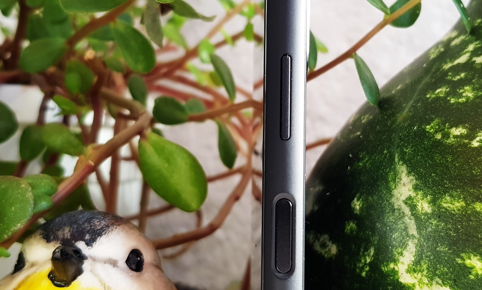 Sony Xperia 10 II recenzija - stara škola i premium izgled - eZadar.hr