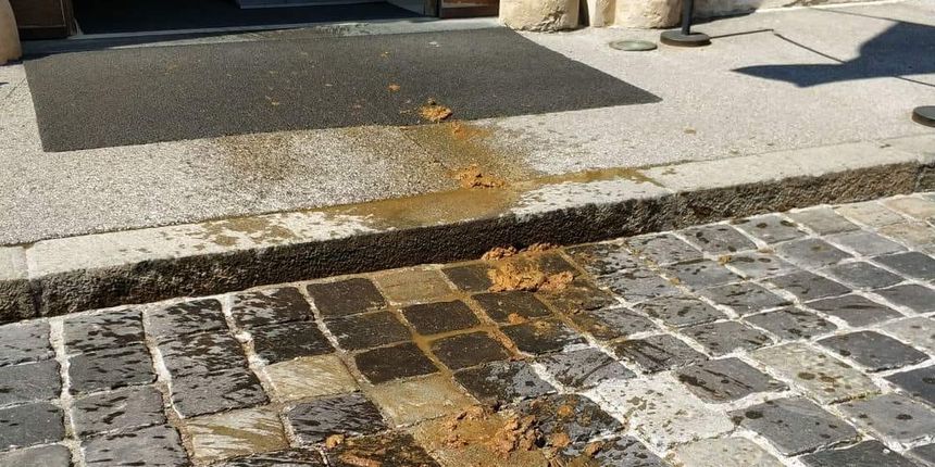 Novinarka bacila kantu punu izmeta pred ulaz u Banske dvore - eZadar.hr