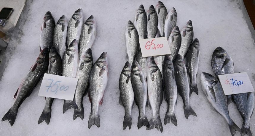 Ovo je najbolja riba za zdravlje srca - eZadar.hr