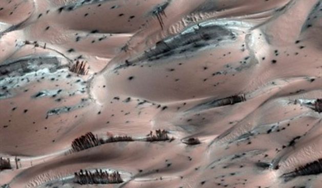 NASA otkrila 'drveće' na Marsu - eZadar.hr