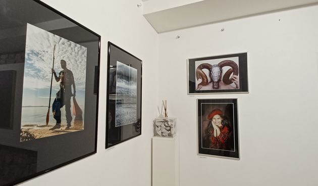 U Kino Zoni novi film genijalne Jennifer Lawrence i francuski klasik ...