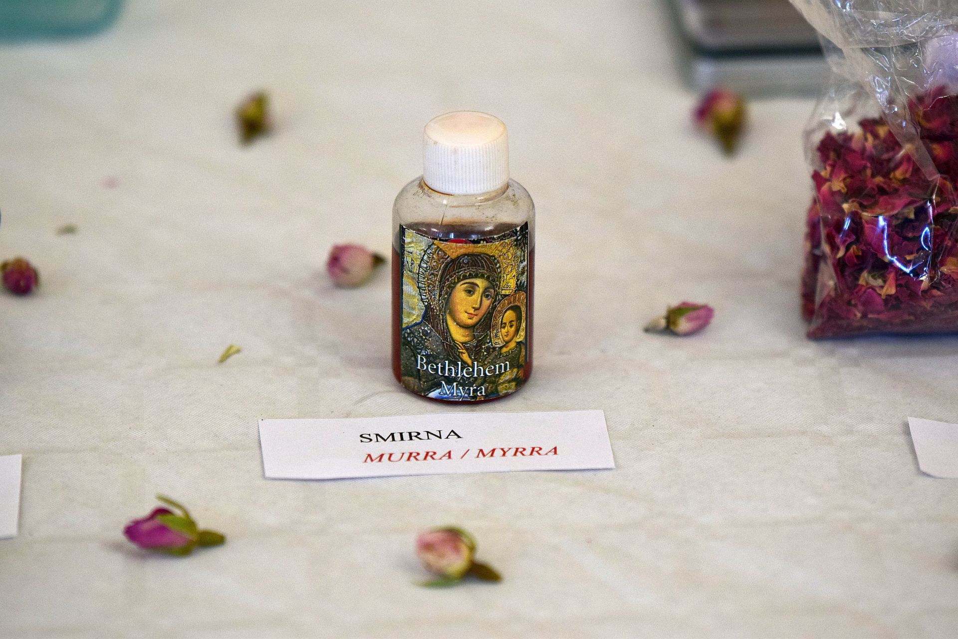 Prvi Dan klasične filologije na Sveučilištu u Zadru: što su jeli stari ...